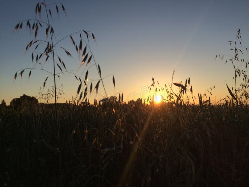 Sky, Ecosystem, Sun, Sunrise Stock Photo - Image of dawn, ecosystem ...