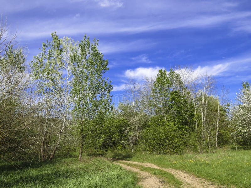 Sky, Ecosystem, Tree, Nature Reserve Picture. Image: 129547497
