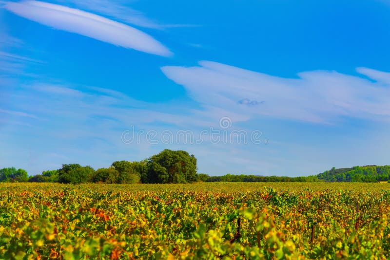 Sky, Field, Grassland, Ecosystem Stock Image - Image of cloud, daytime ...