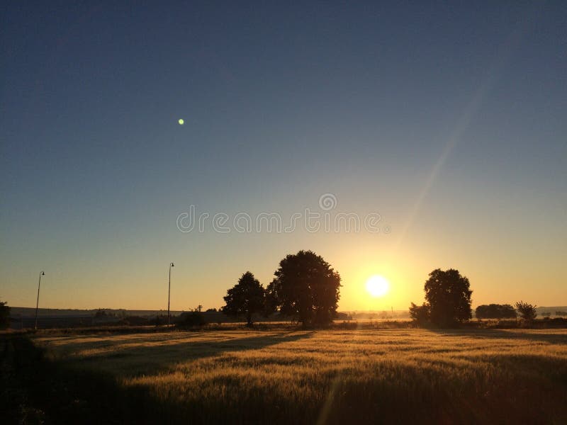 Sky, Field, Horizon, Dawn stock photo. Image of sunrise - 124772334
