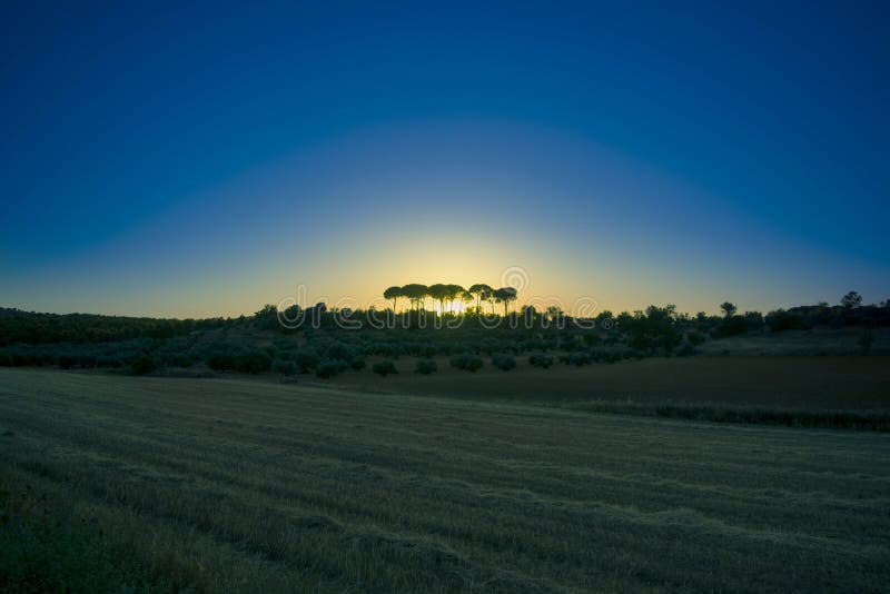 Sky, Field, Horizon, Dawn Picture. Image: 132275104