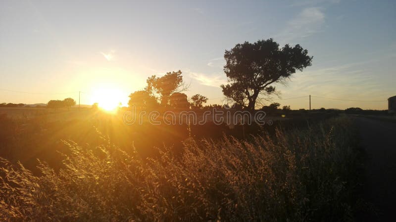Sky, Field, Sun, Sunrise stock photo. Image of horizon - 124939050
