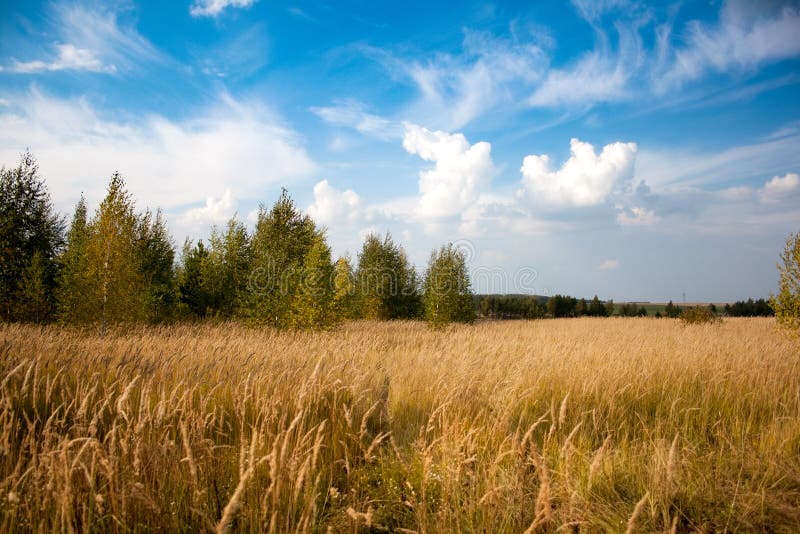 The Sky and the Field in the Warm Summer Stock Photo - Image of warm ...
