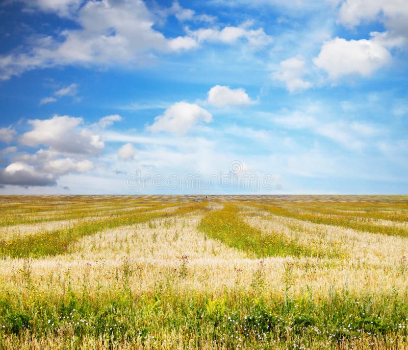 Sky and fields stock image. Image of land, cloudscape - 164247819