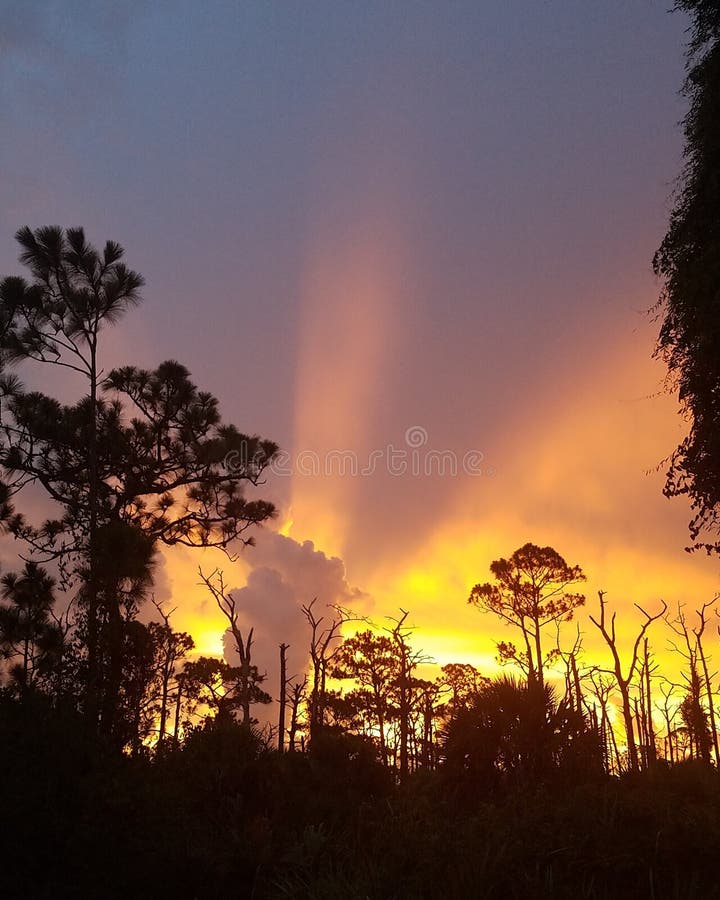 Sky on fire stock image. Image of trails, rays, goodmorning - 78290457