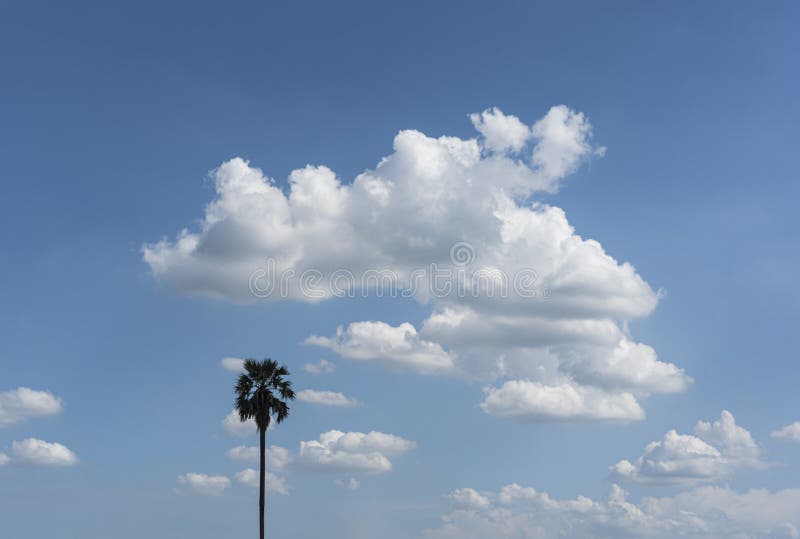 Sky with Floating Clouds on a Beautiful Blue Background Stock Photo ...