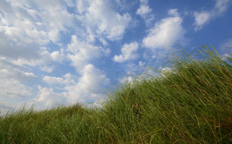 Sky freedom stock photo. Image of thailand, blue, cloud - 39944020