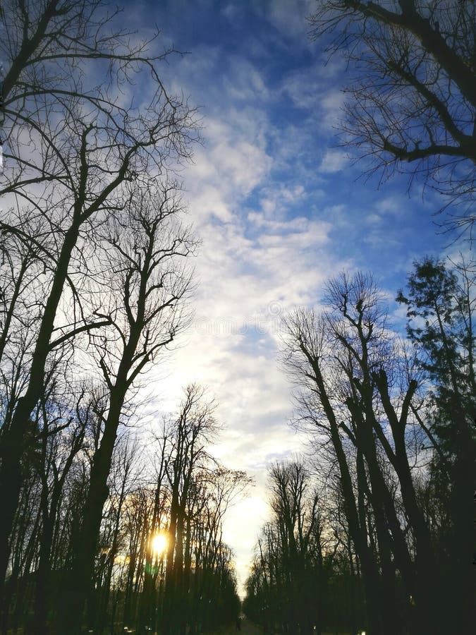 Sky full of hope stock photo. Image of hope, landscape - 81933532