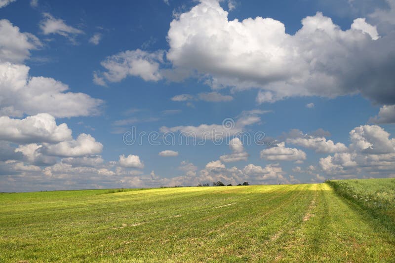 A Sky Full of Whirling Clouds. View of Large Fields after the First ...