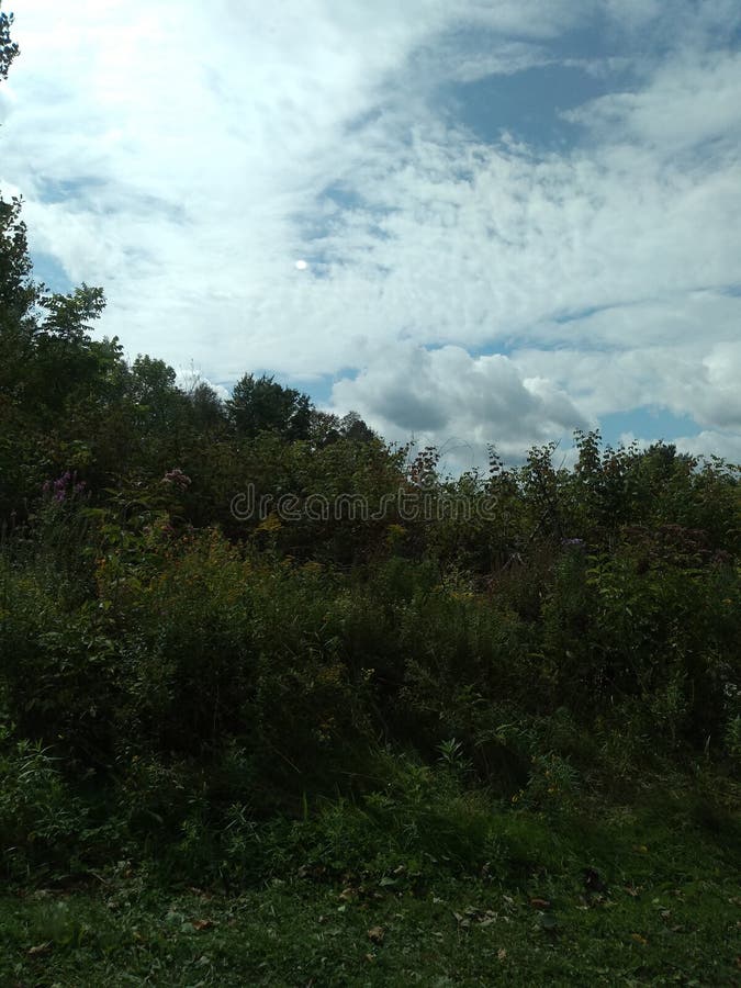 Sky of gloom stock photo. Image of storm, gloom, rainey - 158802232