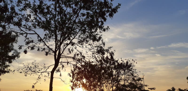 Sky good morning stock image. Image of tree, good, morning - 113967883