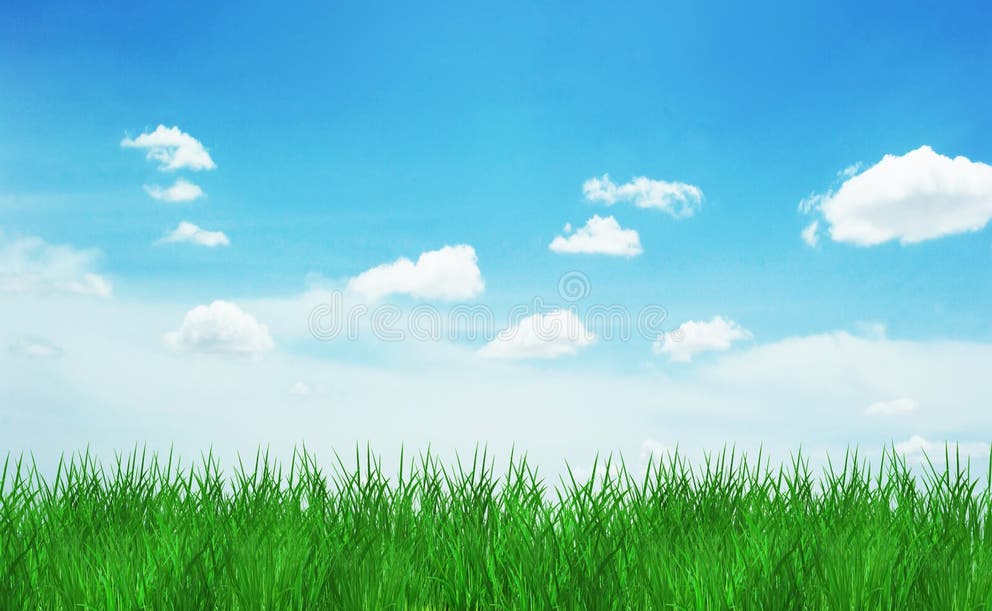 Sky grass stock image. Image of energy, grow, beautiful - 17545397