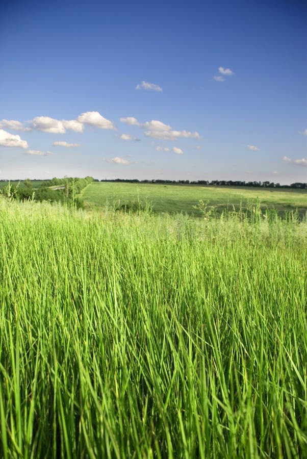 Green Grass Blue Sky Free Stock Photos & Pictures, Green Grass Blue Sky ...