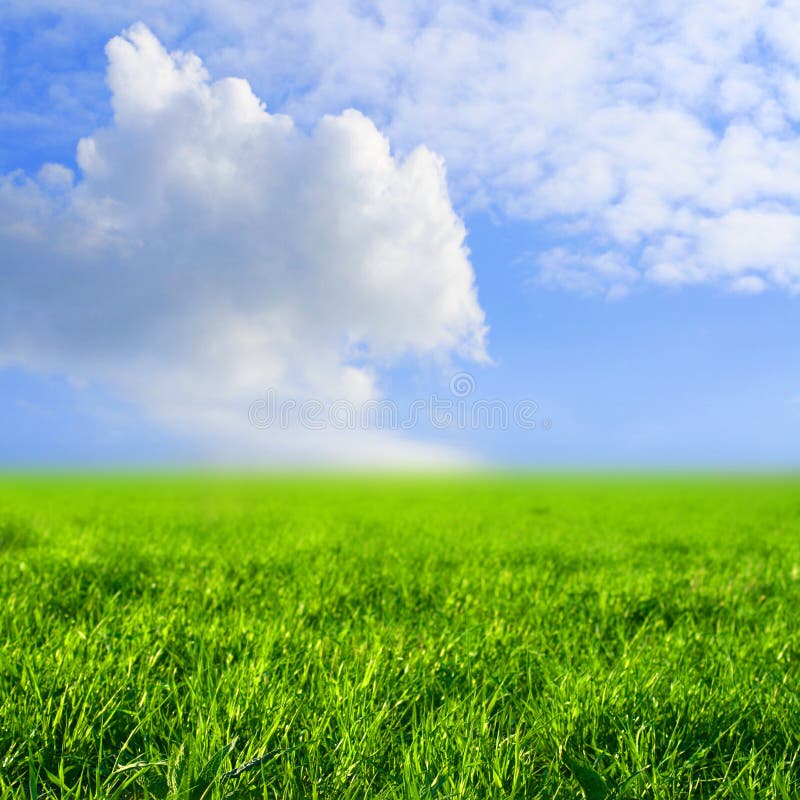Lush Grass Field and Blue Sky with Cloud Background Stock Image - Image ...