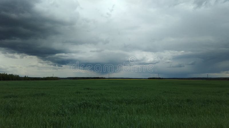 Grass Horizon stock photo. Image of countryside, field - 17619004