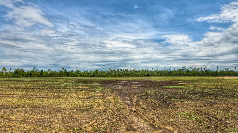 Ecosystem, Field, Farm, Shrubland Picture. Image: 112841952