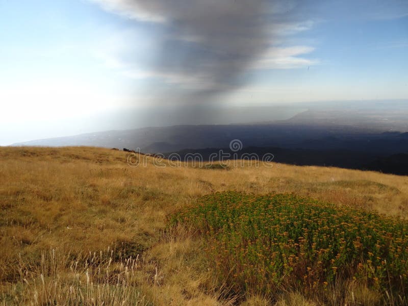 Sky, Grassland, Ecosystem, Highland Picture. Image: 125841127