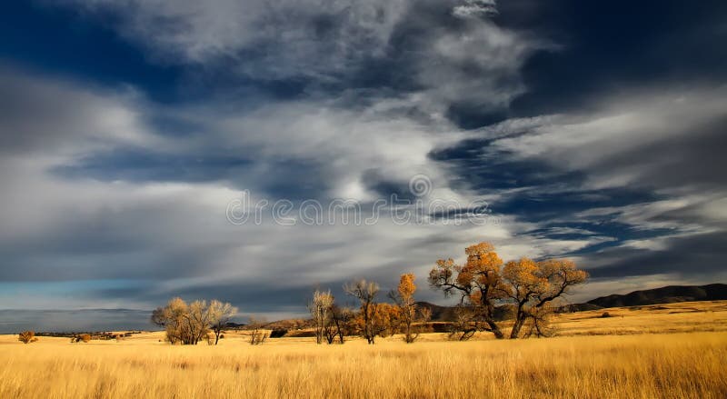 Sky, Grassland, Ecosystem, Prairie Picture. Image: 103019638