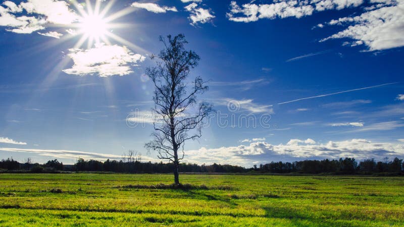 Sky, Grassland, Field, Ecosystem Stock Image - Image of phenomenon ...