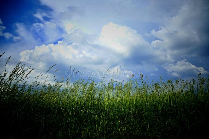 Sky, Grassland, Field, Ecosystem Stock Image - Image of grass, evening ...