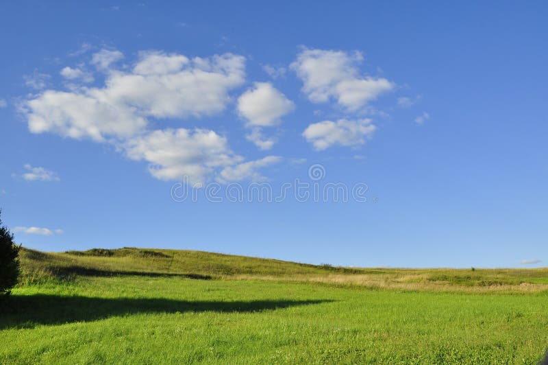Sky, Grassland, Field, Ecosystem Picture. Image: 135310524