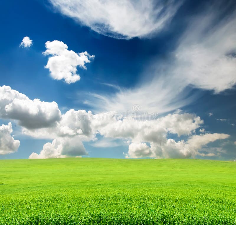 Lush Grass Field and Blue Sky with Cloud Background Stock Image - Image ...