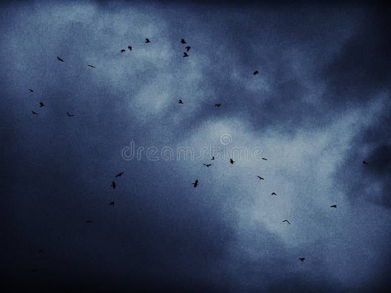 Sky stock image. Image of skyskape, birds, clouds, grim - 109435491