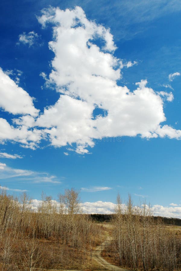 Sky and ground stock image. Image of trees, outdoor, blue - 4438485