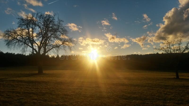 Sky, Horizon, Field, Sun Picture. Image: 124772386