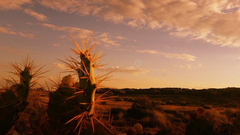 Sky huging stock photo. Image of huging, plants, ground - 82432138