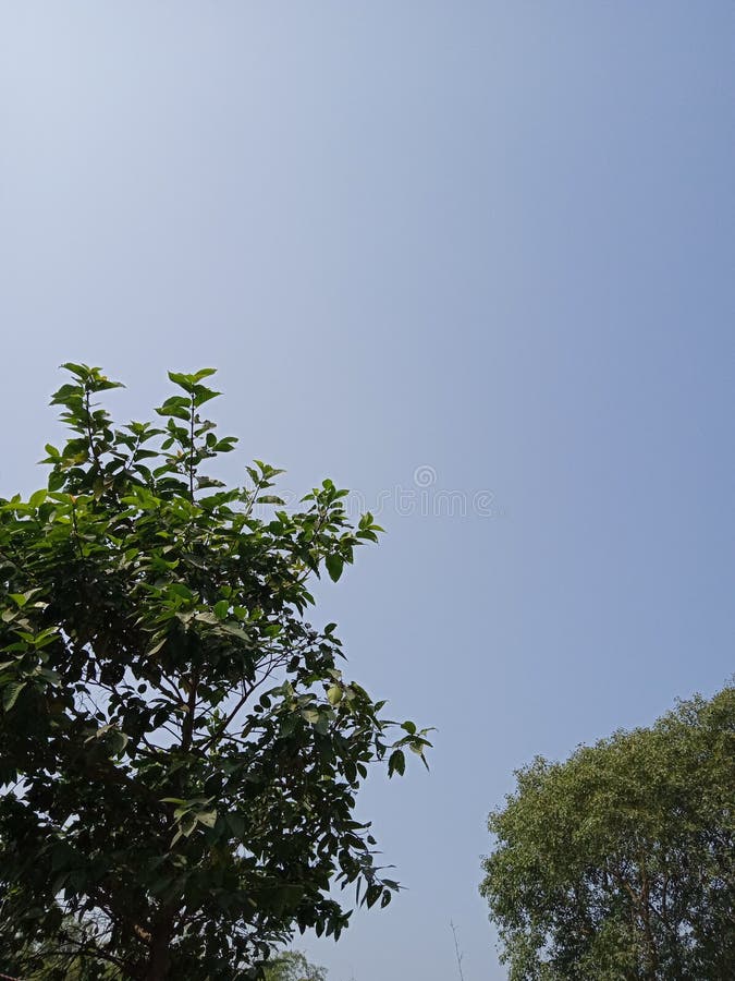 Sky Image in Indian Natural Stock Photo - Image of india, light: 207189630