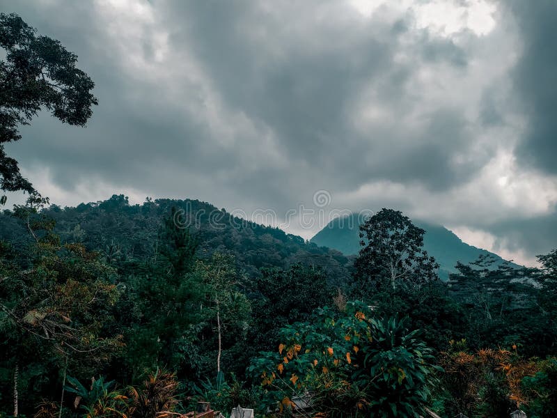 Sky from the jugle stock image. Image of nature, landscape - 221356849