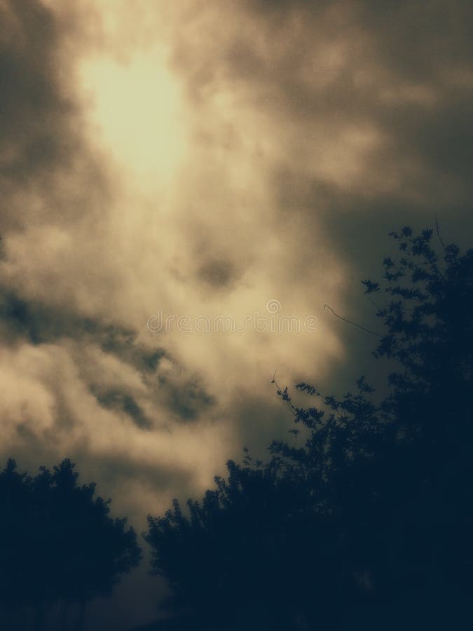 Sky stock image. Image of clouds, sunny, trees, tree - 52658081