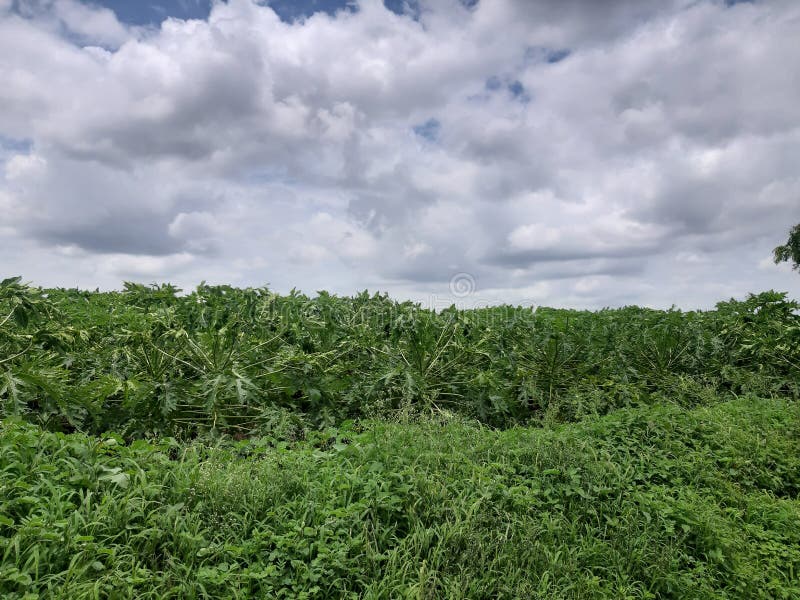 Sky is Looking so Fast Running Stock Image - Image of nature ...