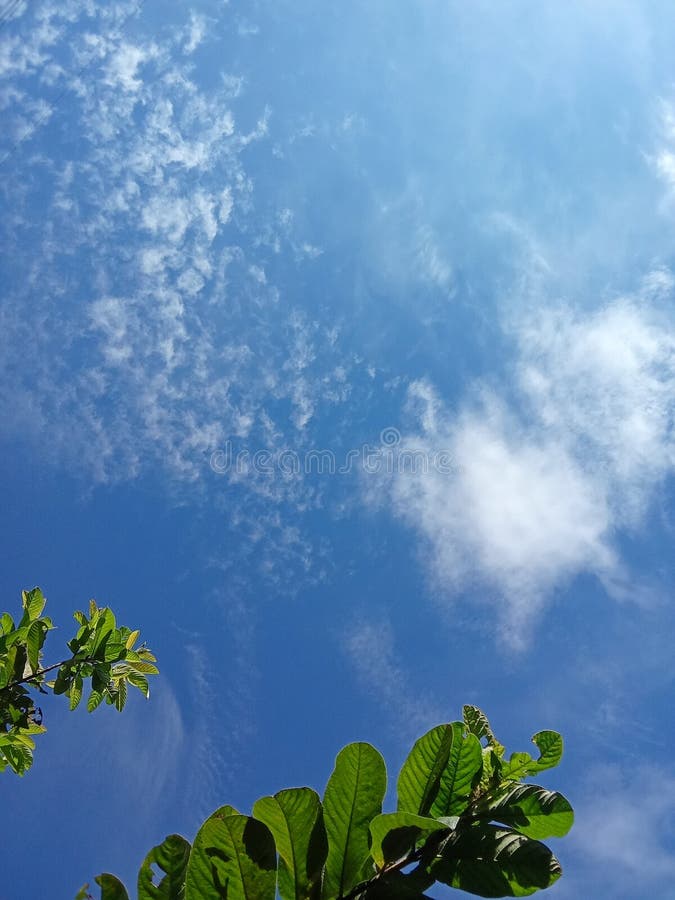 The Sky Looks Very Beautiful Stock Image - Image of beautiful, green ...