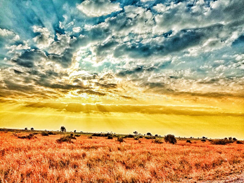 The sky looks is wonderful stock photo. Image of tree - 172110644