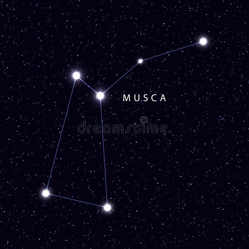 Constellation Musca Stock Illustrations – 37 Constellation Musca Stock ...