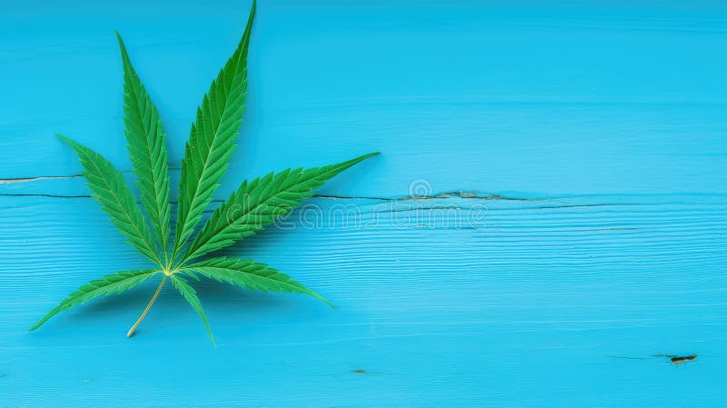 Sky Marijuana Leaf Isolated Stock Illustration - Illustration of ...