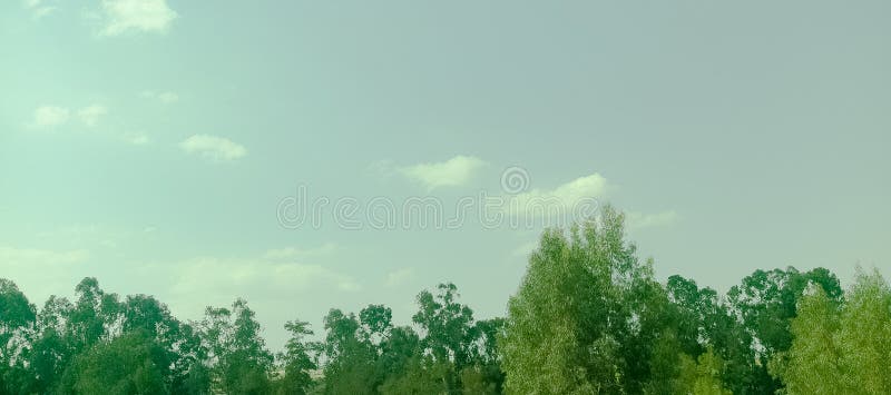 Sky in the Mid of Day Above a the Tops of Trees Stock Image - Image of ...
