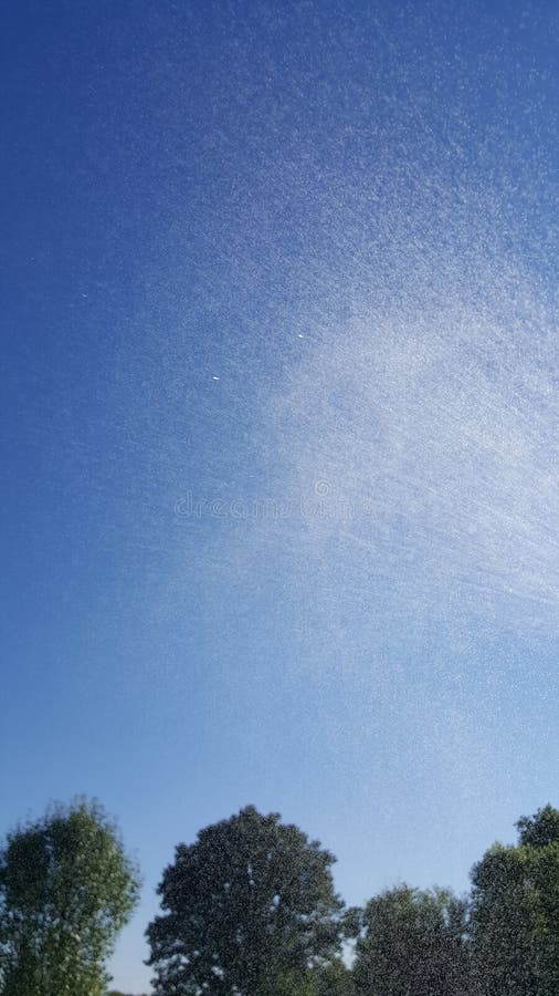 Sky stock photo. Image of trees, mist, thrown, blue - 73476884