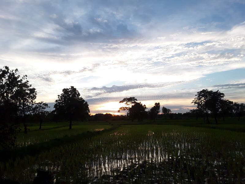 Sky mood rain season stock photo. Image of cloud, leaf - 192885728