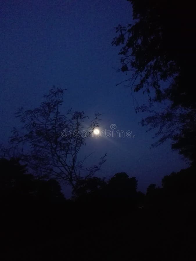 Sky and the moon stock image. Image of looking, orchid - 180079621