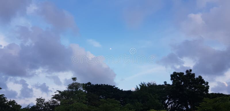 Sky moon stock image. Image of moon, plant, daytime - 214750401