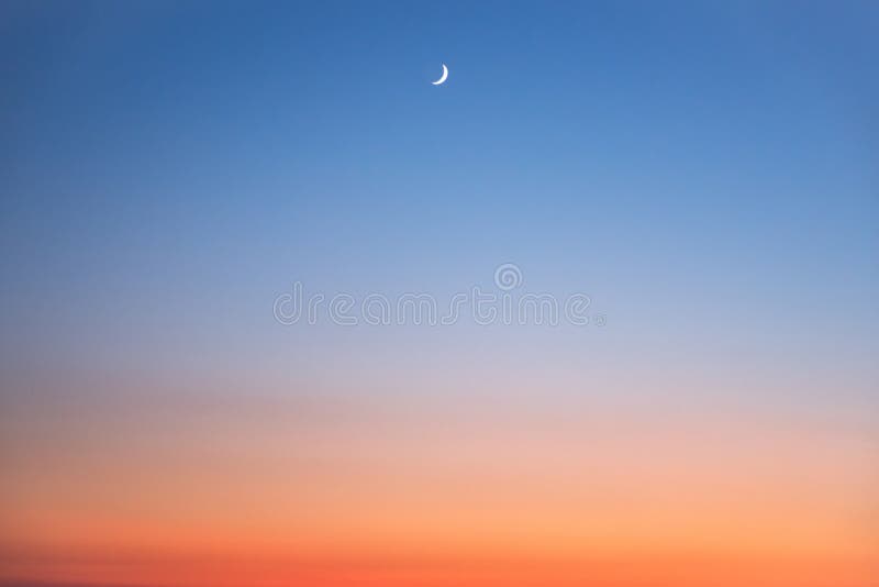 Beautiful sunset stock image. Image of nature, leaf, sunset - 59558527