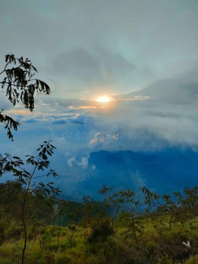 Sky Morning Cloud Tree Nature Sunlight Reflection Stock Image - Image ...