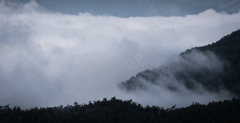 Sky Mountain Cloud and Fog or Mist in Chiang Mai , Thailand Stock Photo ...