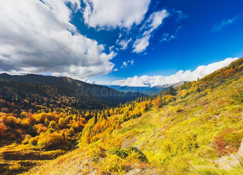 Sky Mountain Light Forest Clouds Freedom Outumn Stock Photo - Image of ...