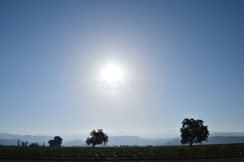 Tree Tunnel At Daytime Picture. Image: 119467388