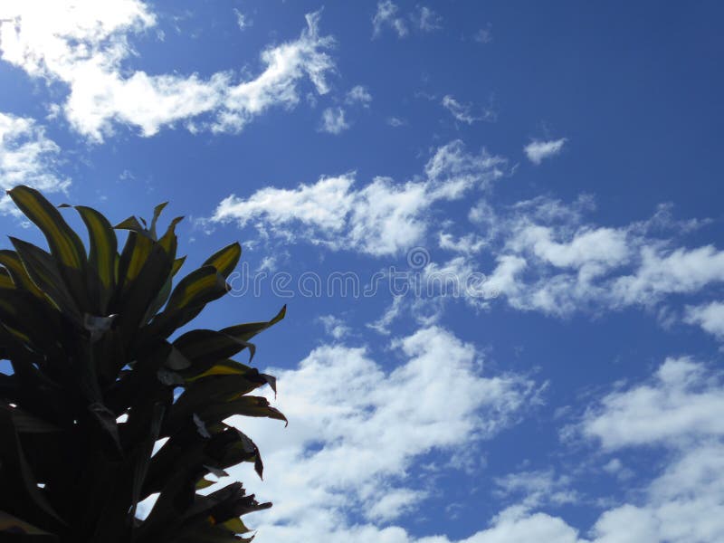 Venezuela Wallpapers Stock Photos - Free & Royalty-Free Stock Photos ...