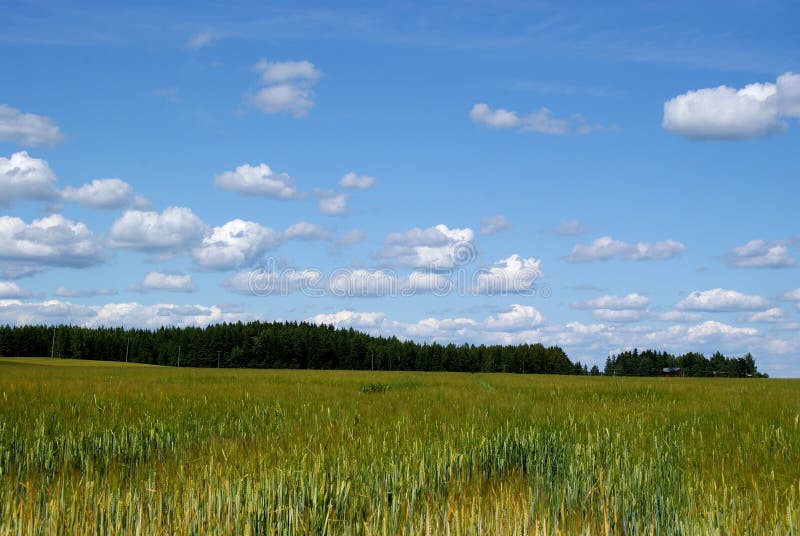 Sky Over Field stock photo. Image of daylight, green - 10229686